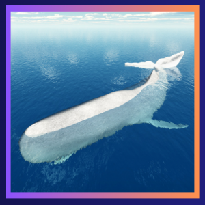 The Majestic Cachalot Whale: Deep Sea Divers and Ocean Giants – Animals ...