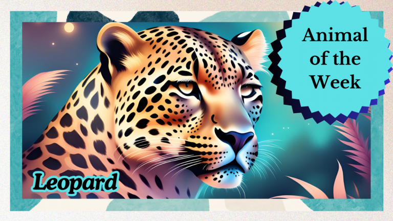 Featured Animal of the Week – Animals Fun and Facts